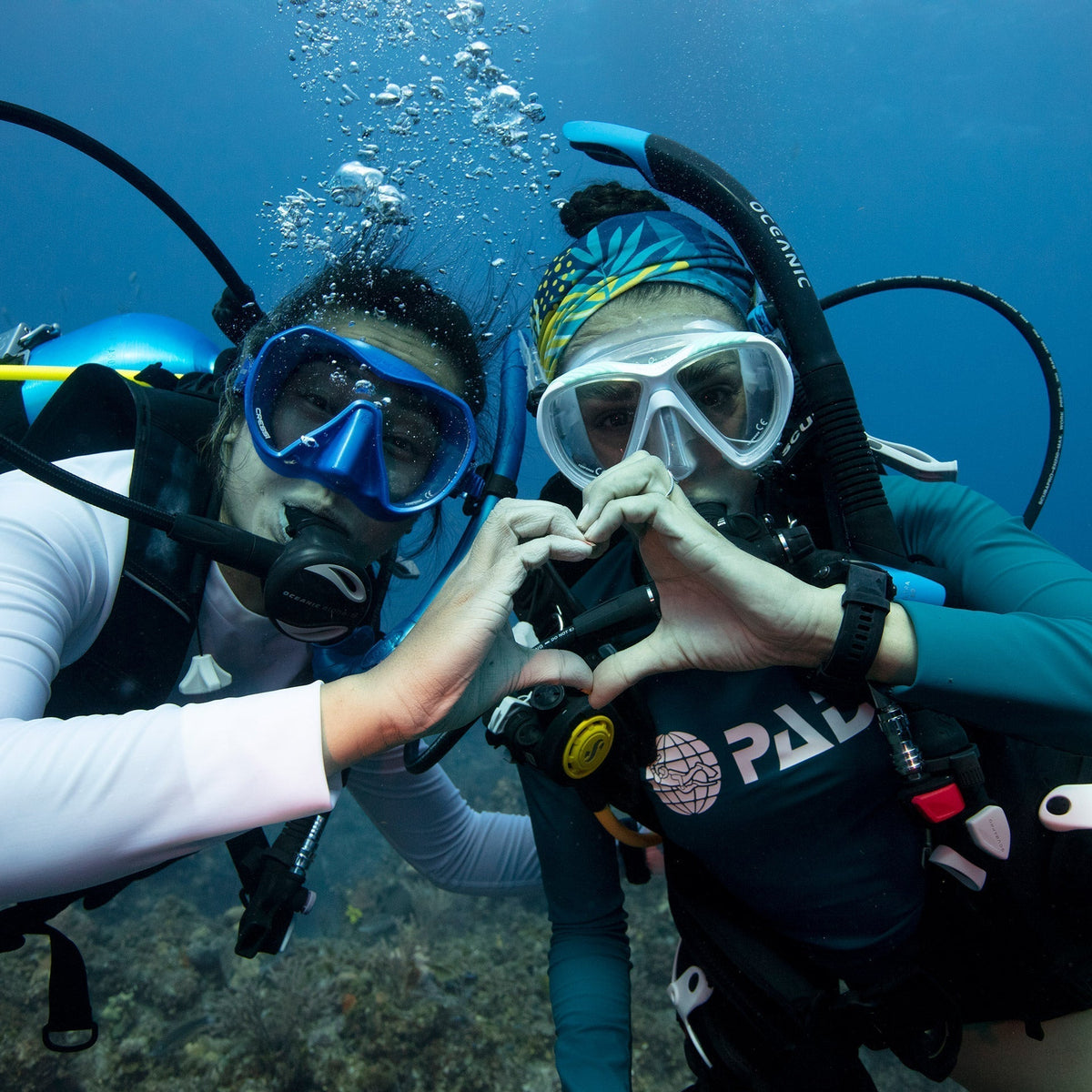 How to Get PADI Certified: Your Path to Underwater Freedom at Gold Coa ...