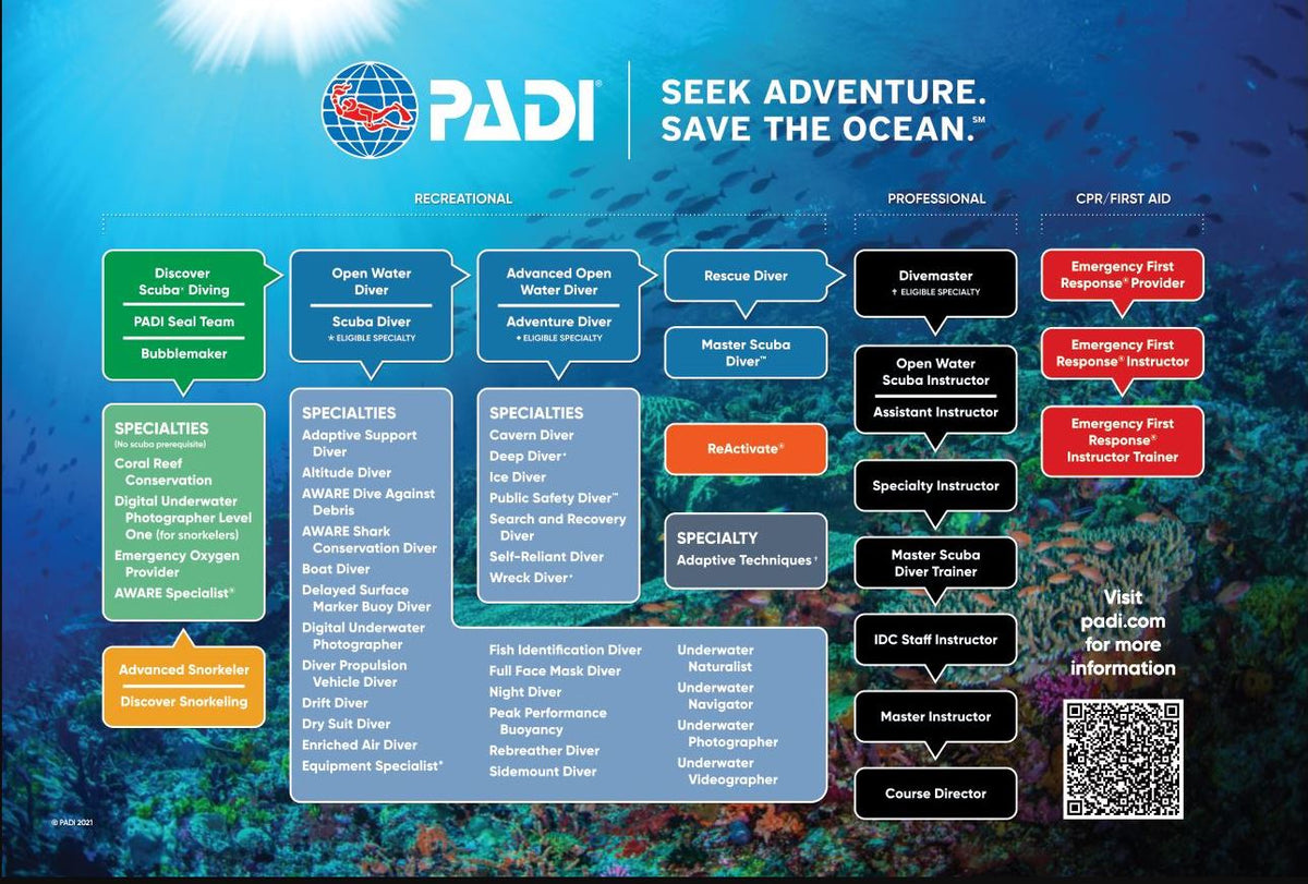PADI 5 Star Scuba Certifications in Lauderdale-By-The-Sea Florida ...